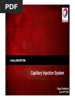 Lubricators and Risers | PDF | Pipe (Fluid Conveyance) | Mechanical ...