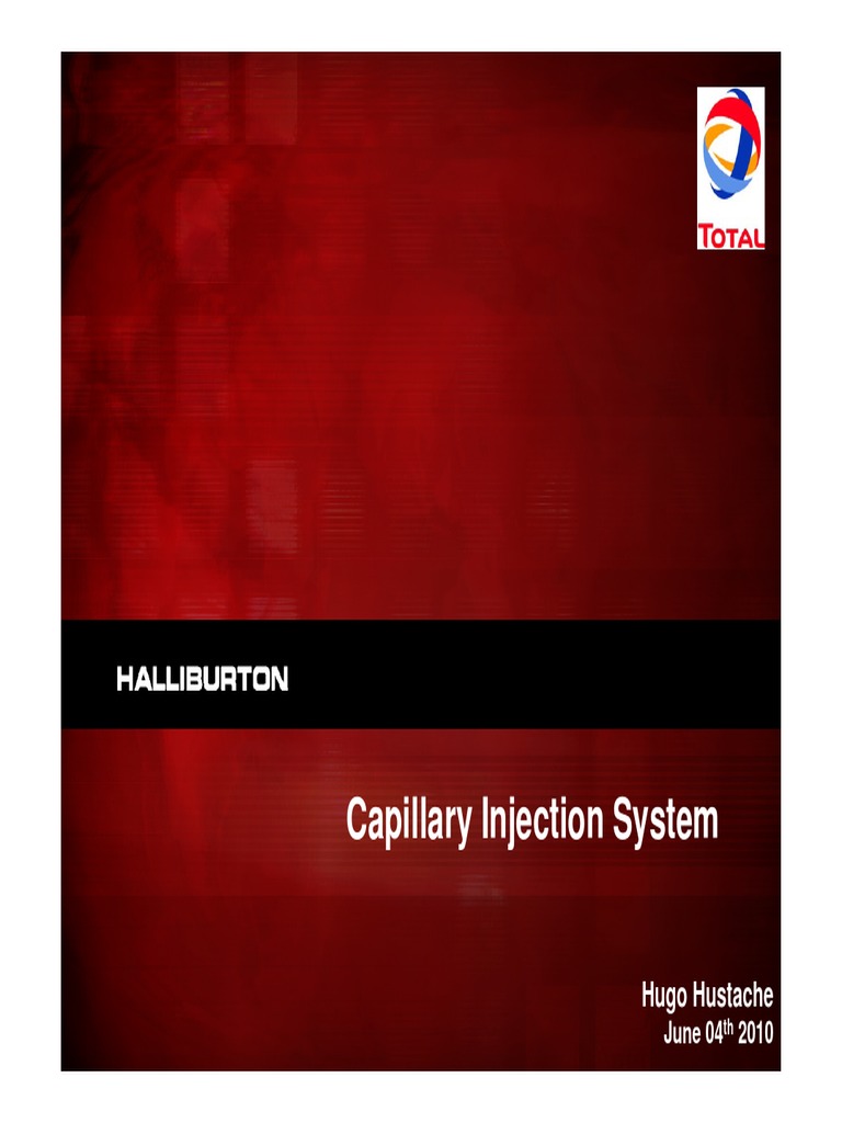 Capillary Injection Sytem Halib Valve | PDF | Chemical Engineering ...