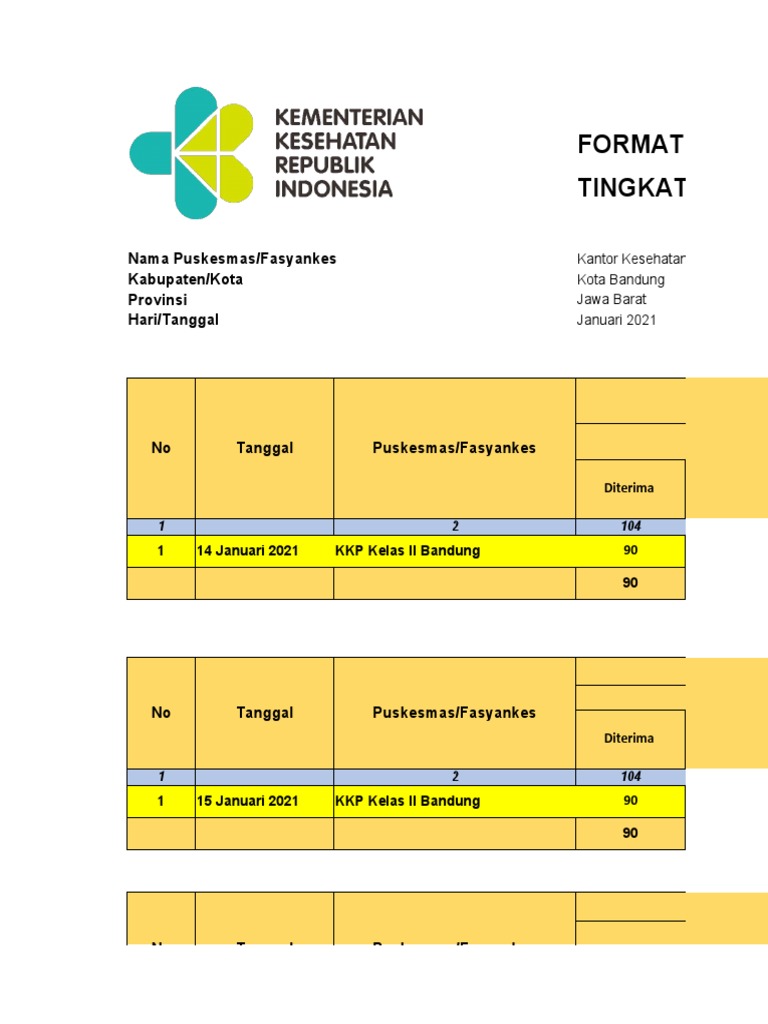 Format Pencatatan Logistik Puskesmas Dan Fasyankes | PDF