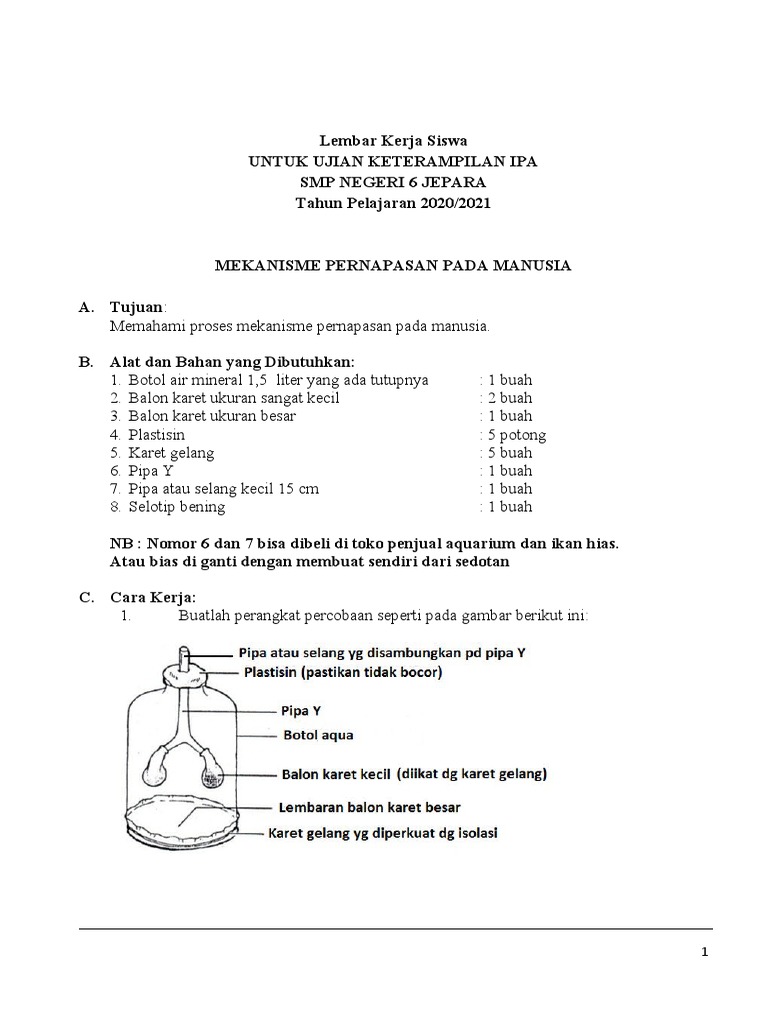 Mekanisme Pernapasan Manusia | PDF | Sains & Matematika