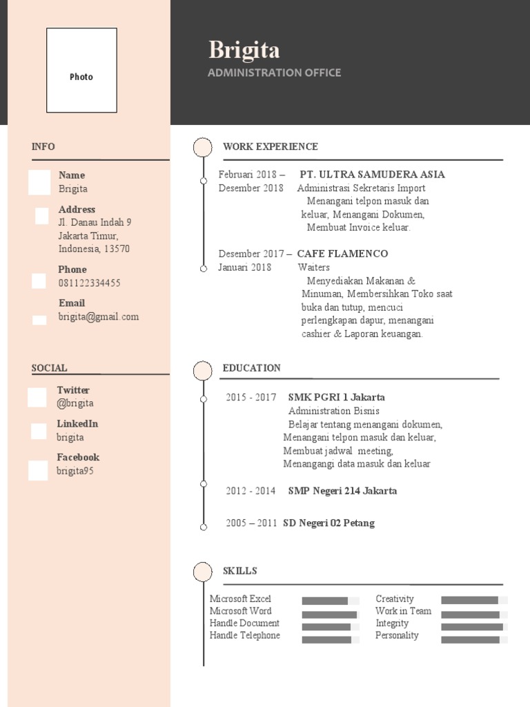 Profil Karier Brigita | PDF