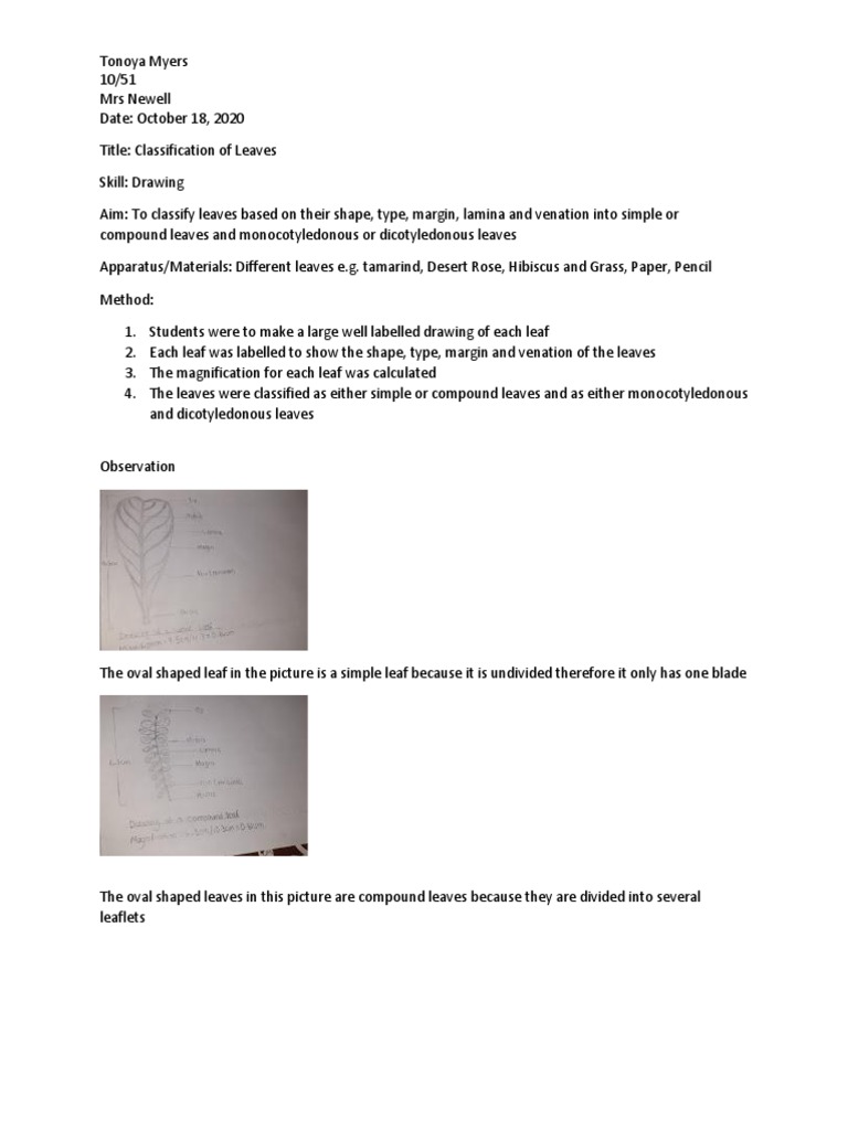 Bio Classification Lab | PDF