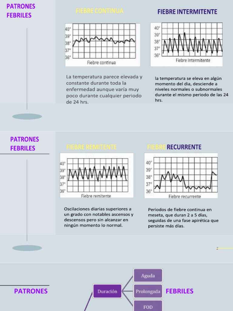 Curvas Termicas. | PDF
