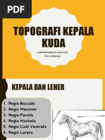 Regio Kepala Dan Leher Anatomi Topografi | PDF