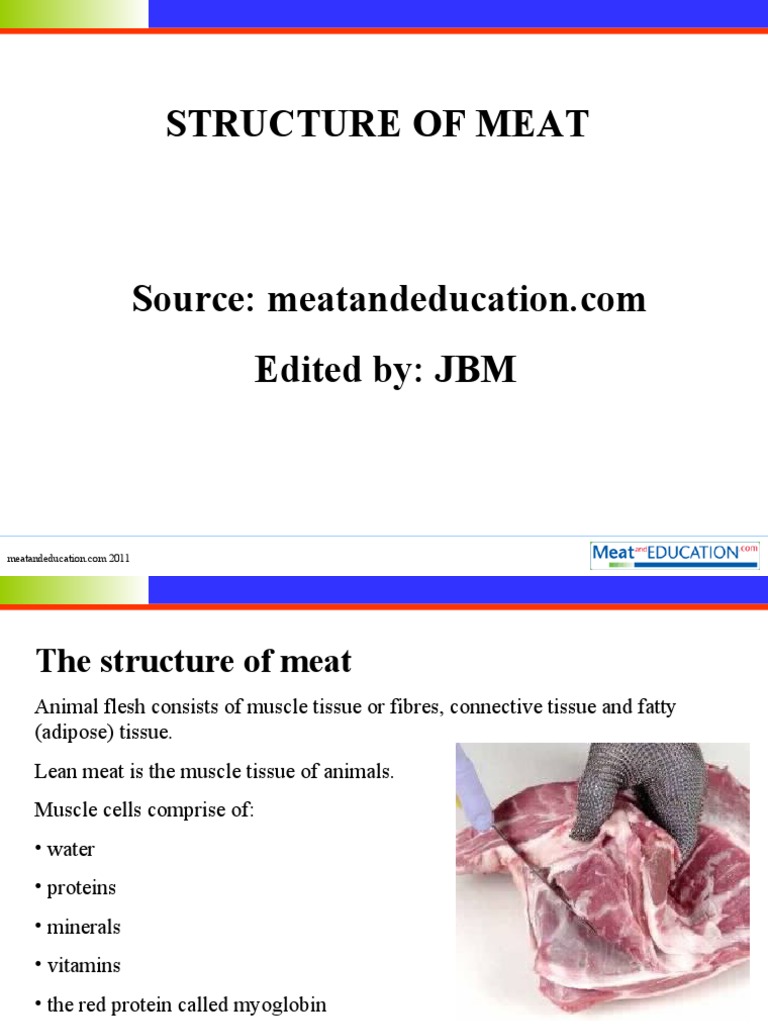 Meat Structure | PDF | Connective Tissue | Meat