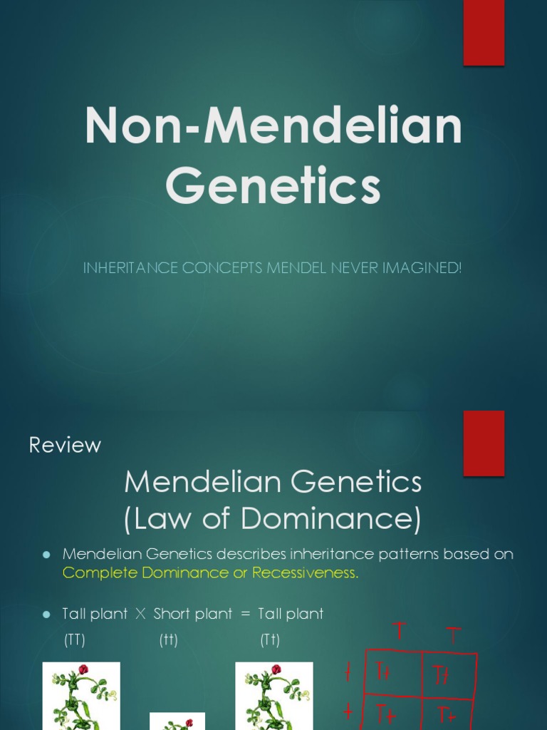 POWERPOINT - Incomplete Dominance and Codominance | PDF | Dominance ...