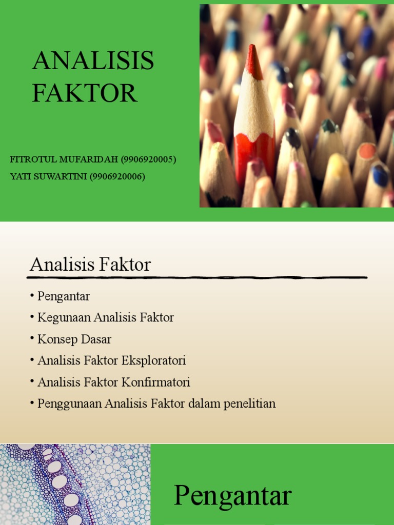 Analisis Faktor | PDF