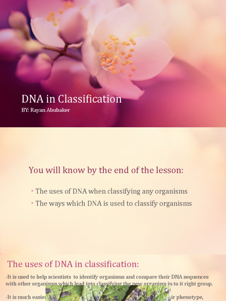 DNA in Classification: BY: Rayan Abubaker | PDF