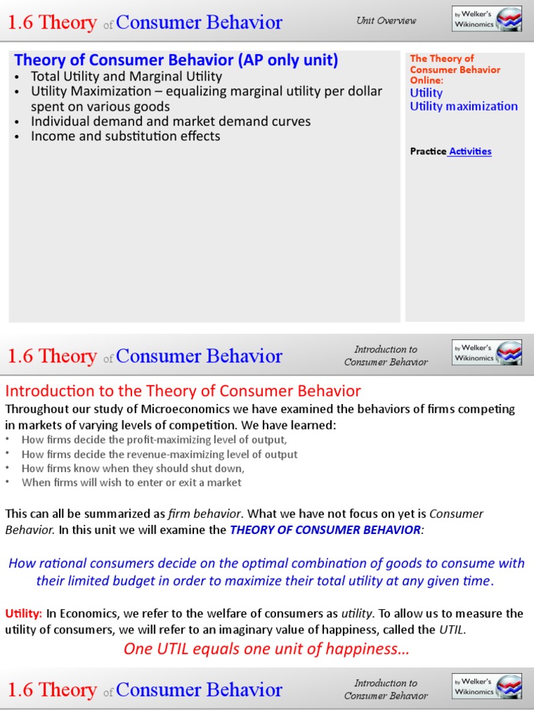 Applied Economics Theory of Consumer Behavior AP | PDF | Utility | Demand