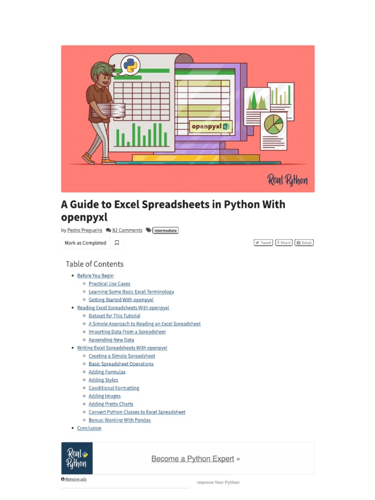 Python Excel | PDF