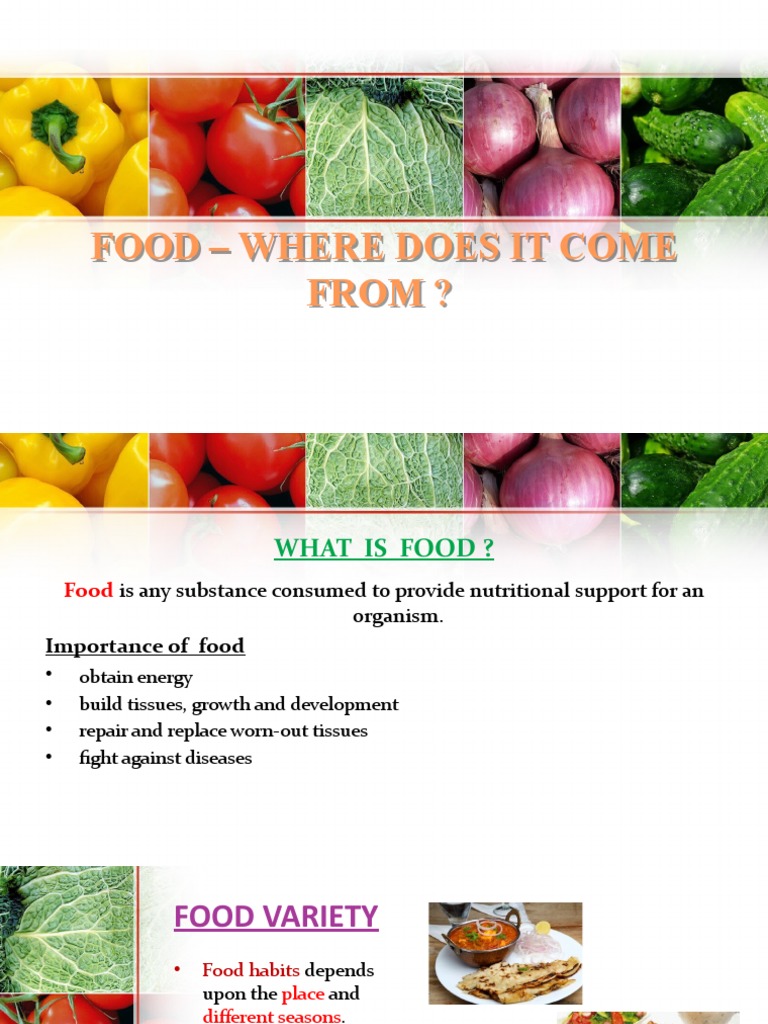 Food-Where Does It Come From | PDF