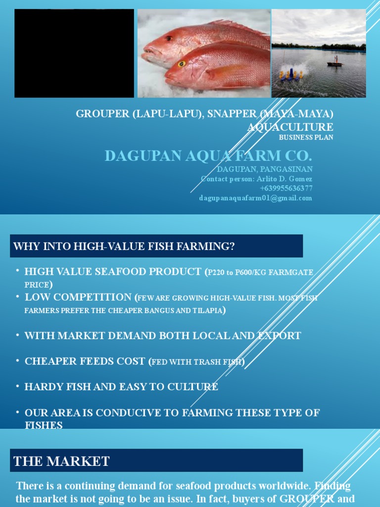 Grouper and Snapper Aquaculture Plan | PDF | Aquaculture | Fish And Humans