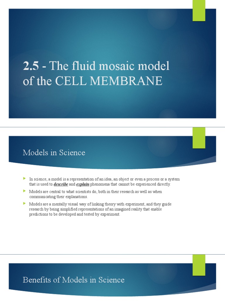 Models in Biology and The Fluid Mosaic Model of The CELL MEMBRANE | PDF ...