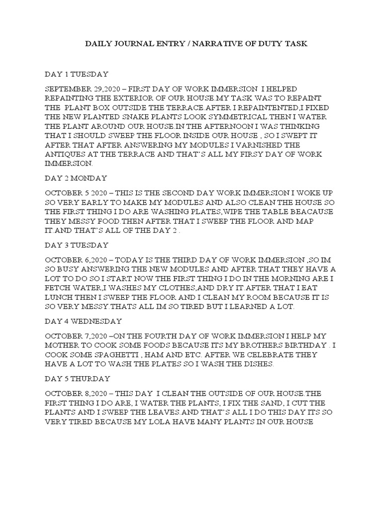 Daily Journal Entry / Narrative of Duty Task | PDF | Pancake | Food And ...