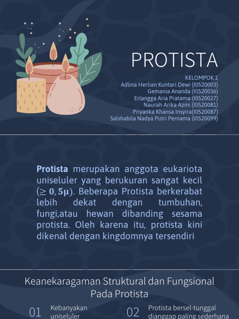 Keanekaragaman Protista | PDF