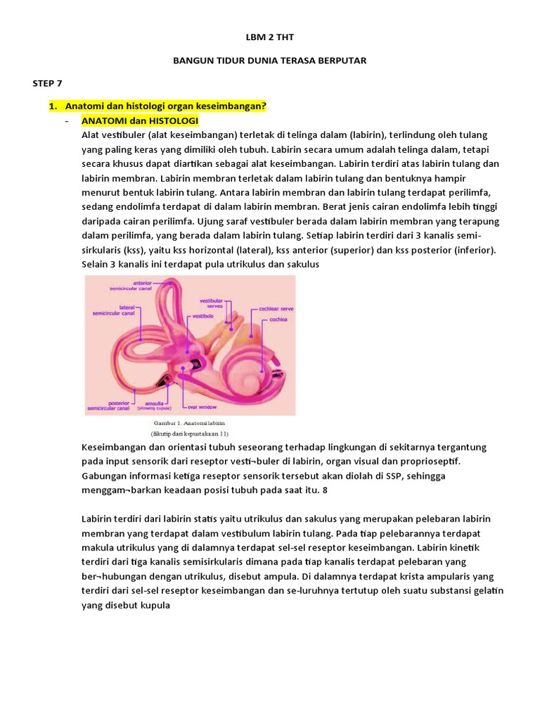 Edo LBM 2 SGD 11 THT | PDF