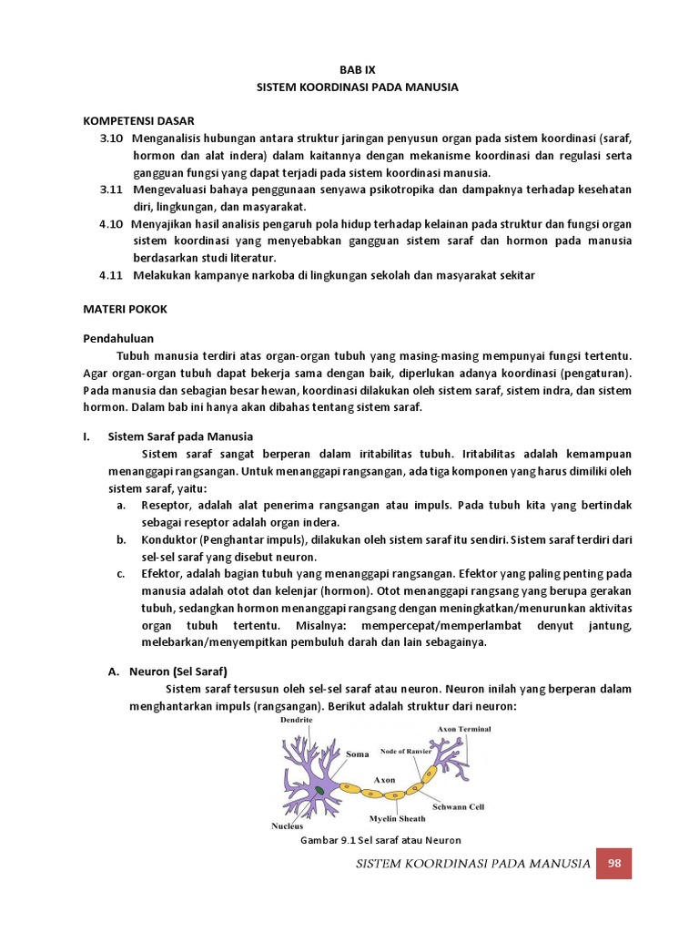 Sistem Koordinasi Manusia dan Fungsinya | PDF