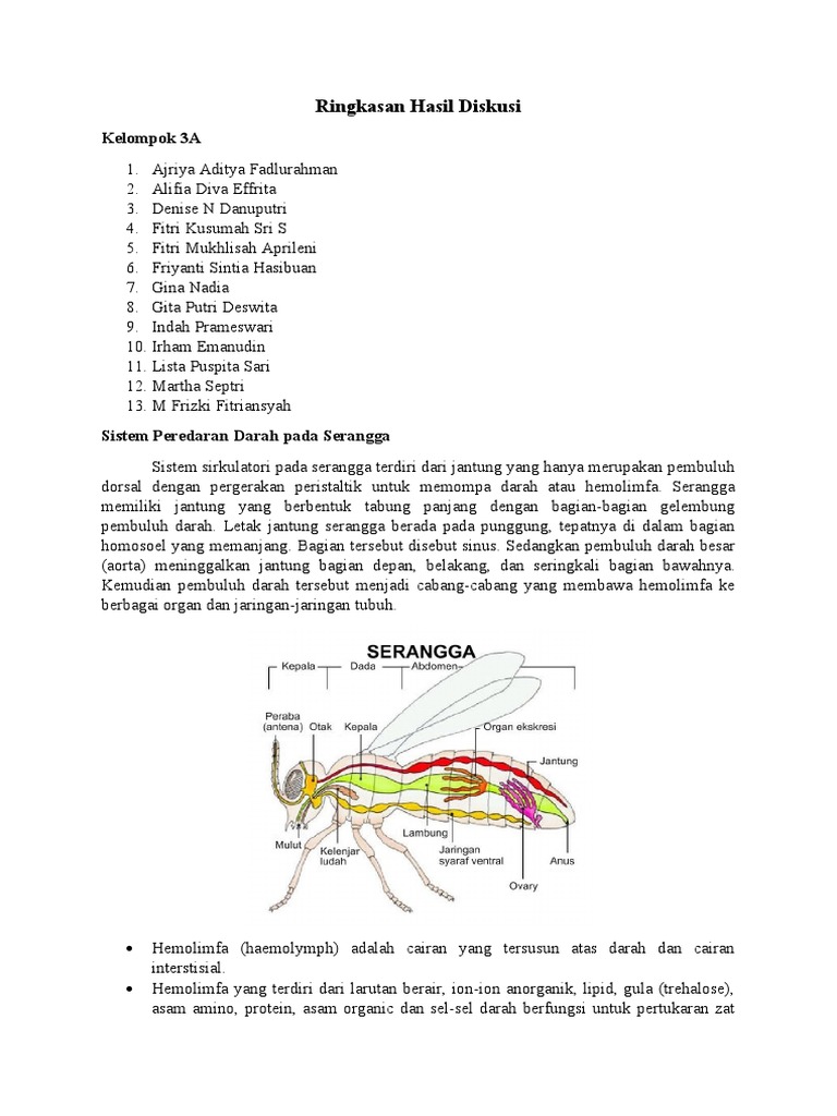 Entomologi Sistem Peredaran Darah Serangga | PDF