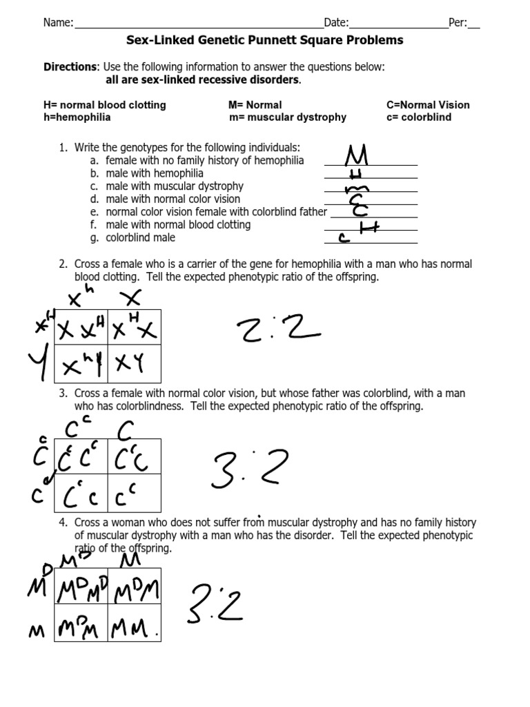 Nardia Harley - Sex-Linked Genetic Punnett Square | PDF