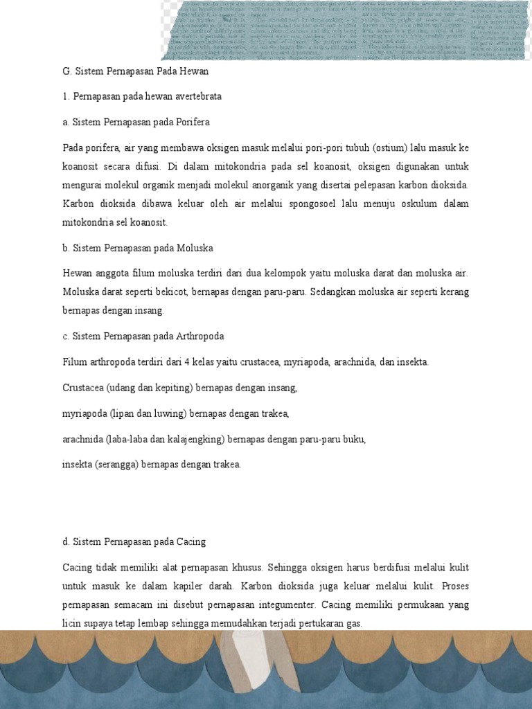 Sistem Pernapasan Hewan | PDF | Kajian Bahasa Asing | Sains & Matematika