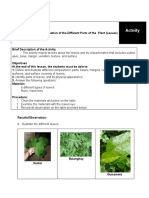 Leaf and Leaflet Morphology Guide | PDF | Leaf | Branches Of Botany