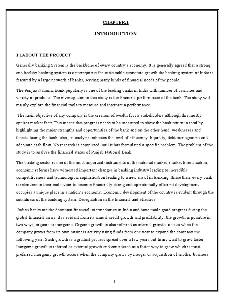 Financial Analysis of PNB | PDF | Financial Ratio | Equity (Finance)