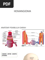Clinical Pathway (Demam Tifoid) | PDF