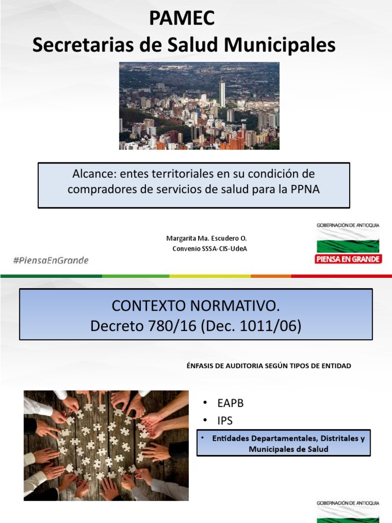PAMEC: Auditoría y Mejora en Salud | PDF | Auditoría | Business