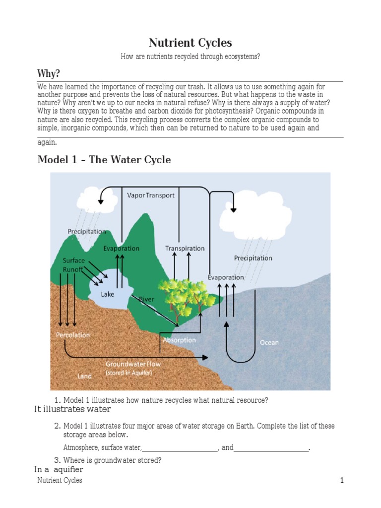 The Nutrient Cycles: How Water, Carbon, and Nitrogen Are Recycled ...