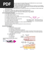 Guía de Polygel | PDF | Clavo (anatomía)