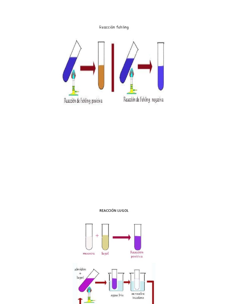 Reacción Fehling | PDF