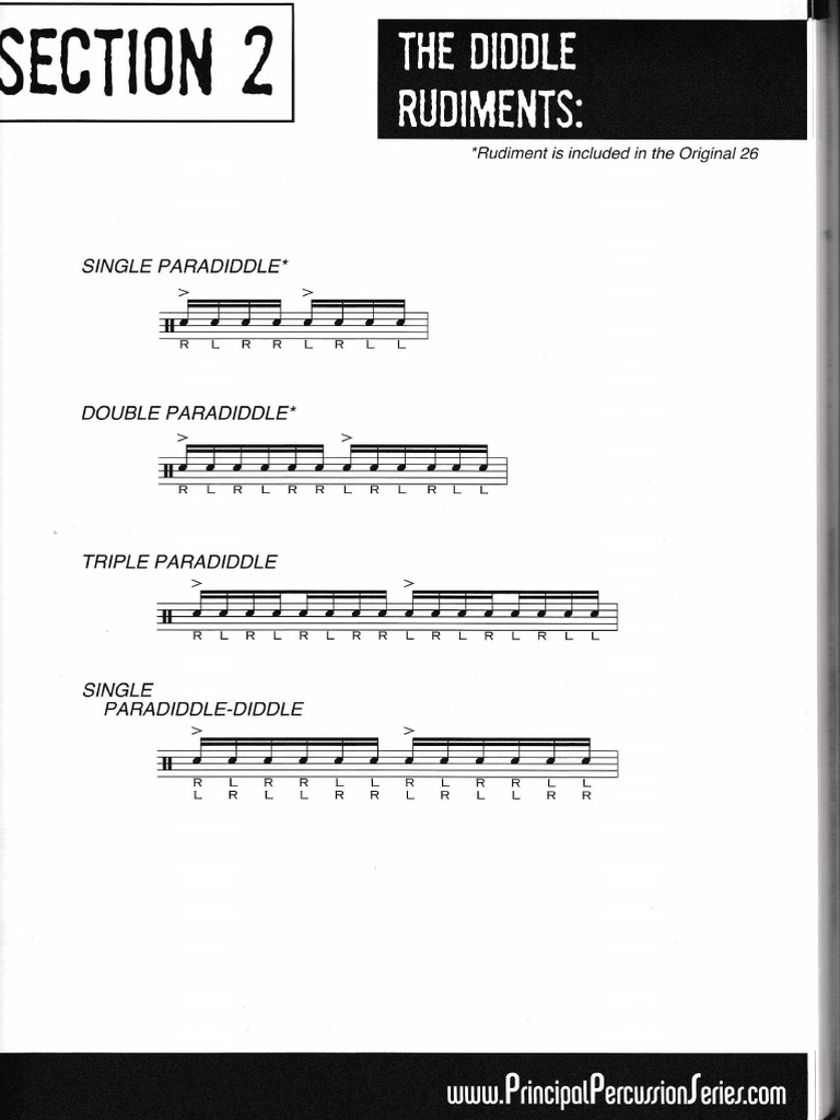 The Diddle Rudiments - The Single Paradiddle | PDF | Rhythm And Meter | Drumming