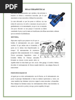 Test de Adams | PDF | Escoliosis | Especialidades Medicas