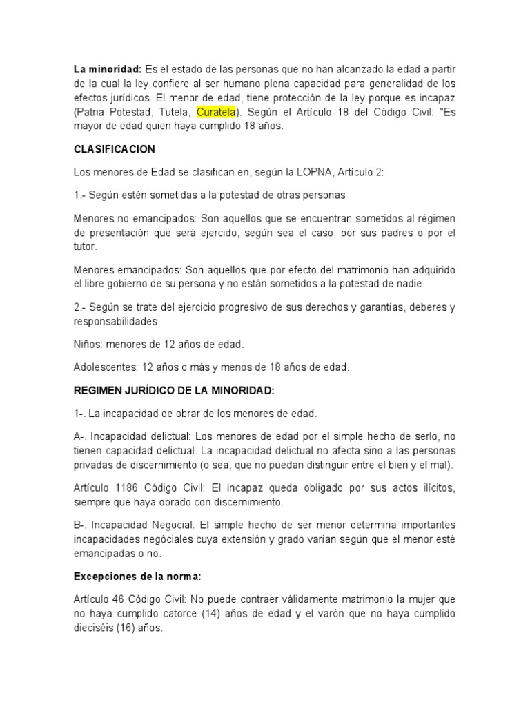 La Minoridad Resumen | PDF | Menor (ley) | Divorcio