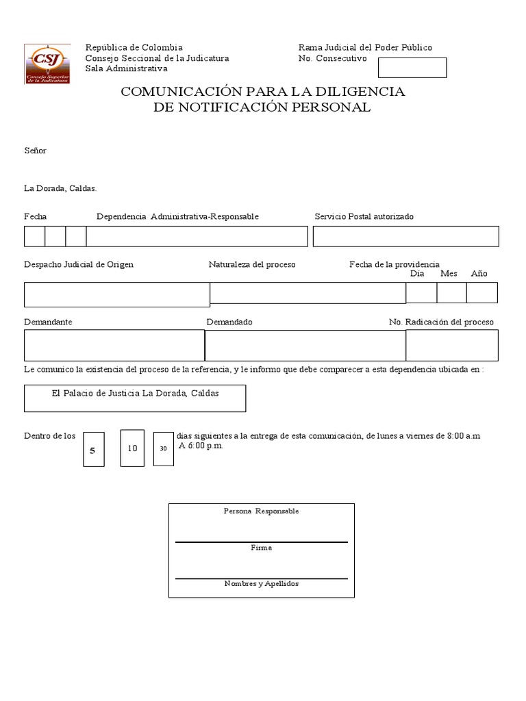 Formato Cit. Personal-1 | PDF