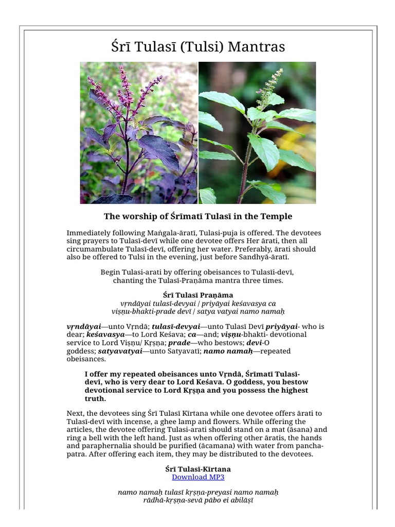 Tulasi (Tulsi) Mantras | PDF
