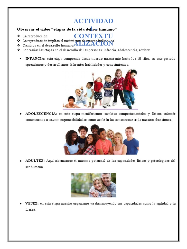 Etapas de Desarrollo - Yexy | PDF | Adultos | Aprendizaje