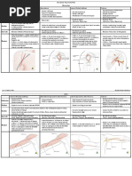 Completed Upper Extremity Rom Norms Sheet 1 | PDF | Anatomical Terms Of ...