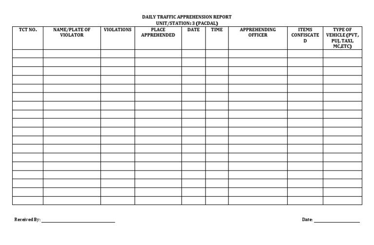 Daily Traffic Apprehension Report | PDF
