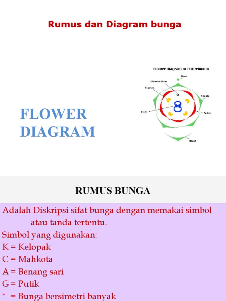 Rumus Dan Diagram Bunga 2b | PDF