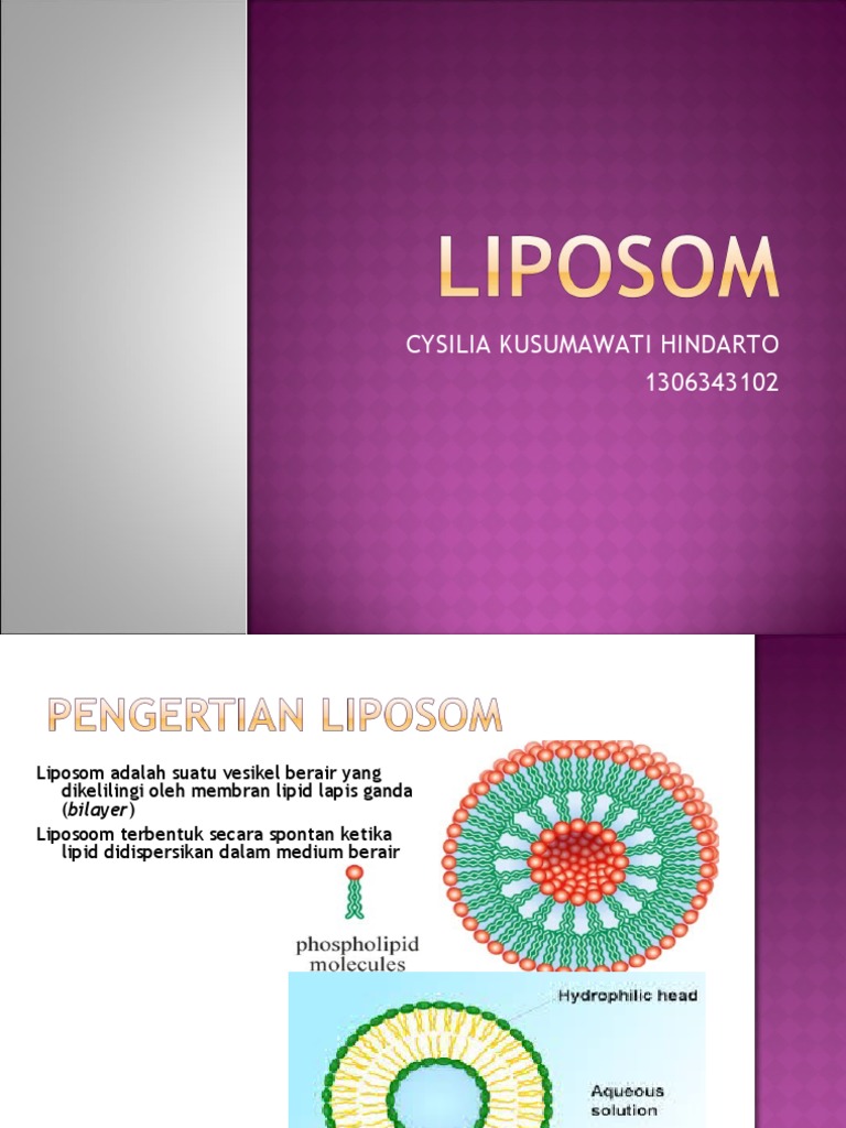 LIPOSOM | PDF