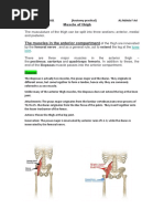 Mink Dissection Practical | PDF | Anatomical Terms Of Location ...