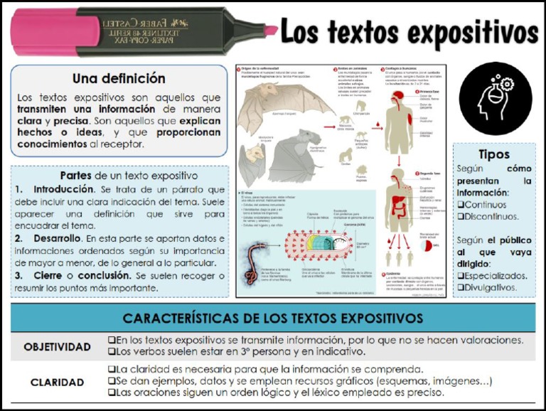 Infografía - textos-expositivos | PDF