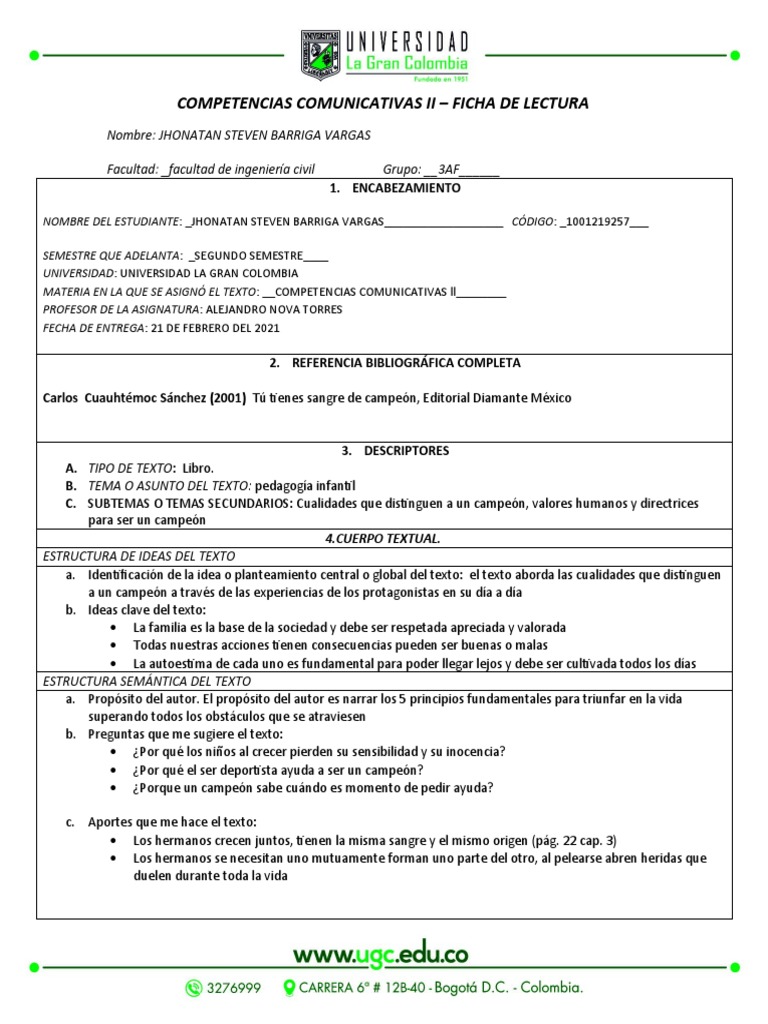 MODELO DE FICHA DE LECTURA Solucion | PDF | Juventud | Autoestima