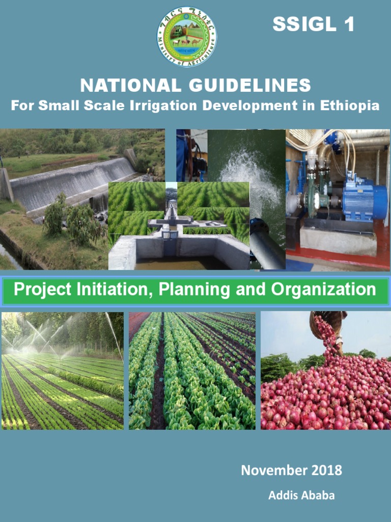 SSIGL 1 Project Initiation, Planning and Organization Ver-6 | PDF ...