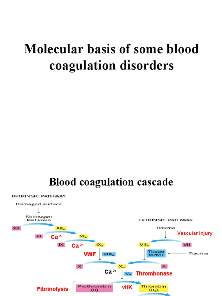 Blood Coagulation Disorders Explained | PDF | Coagulation | Thrombus
