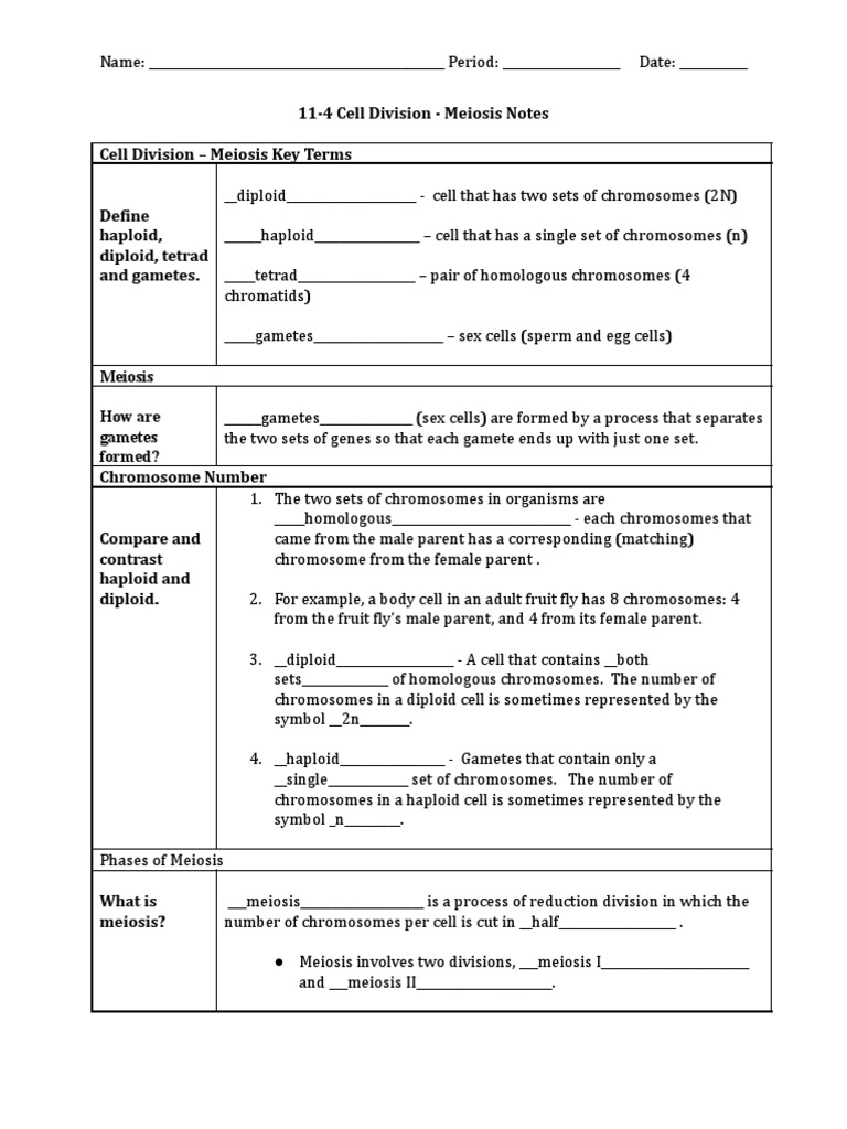 11-4 Cell Division - Meiosis Notes Cell Division - Meiosis Key Terms ...
