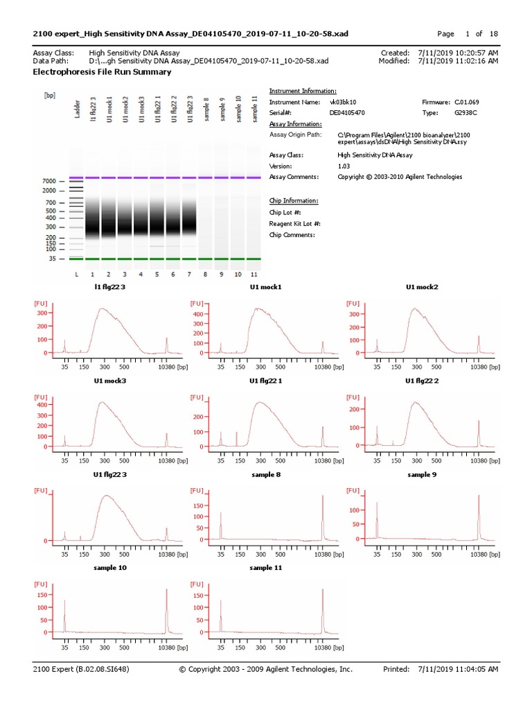 2100 Expert - High Sensitivity DNA Assay - DE04105470 - 2019-07-11 - 10 ...