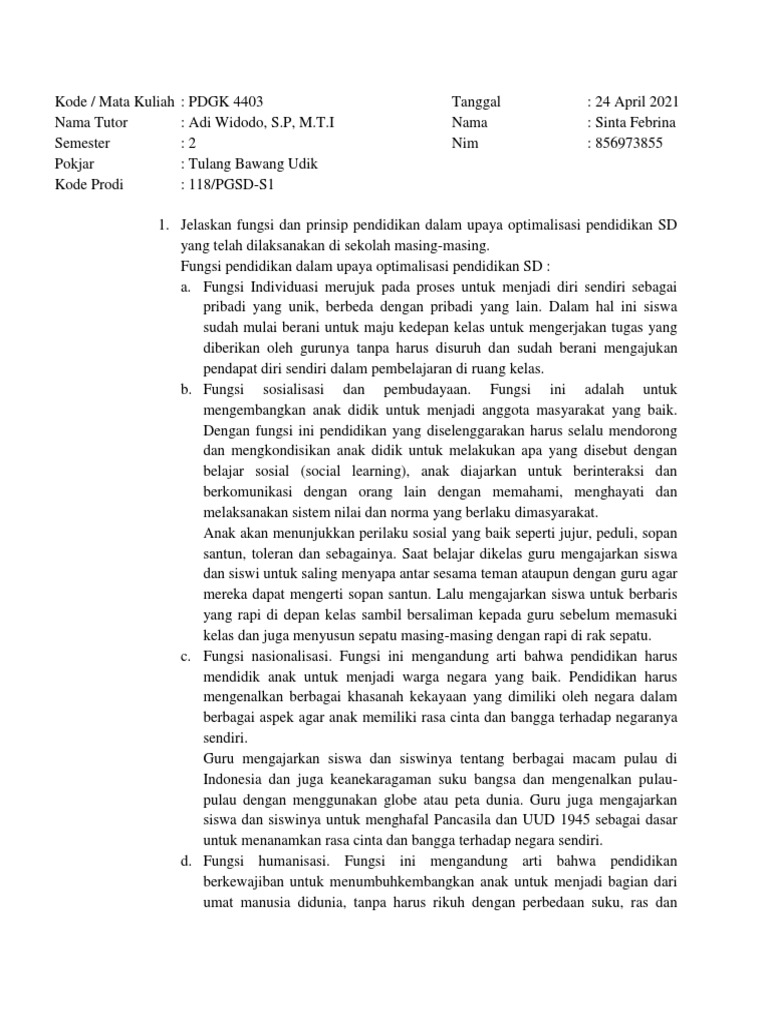 Tugas Pendidikan Anak Di SD | PDF