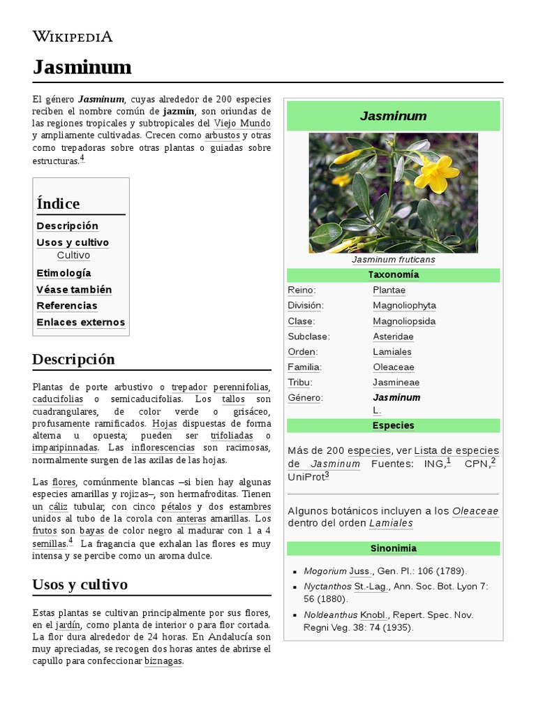Jasminum | PDF | Plantas | Botánica